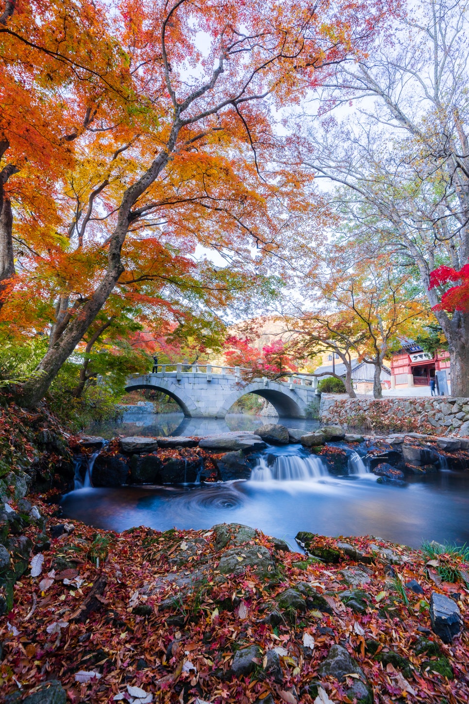 2025 단풍 절정 시기와 가을 단풍 명소 베스트 7 - Lyntour 포스트