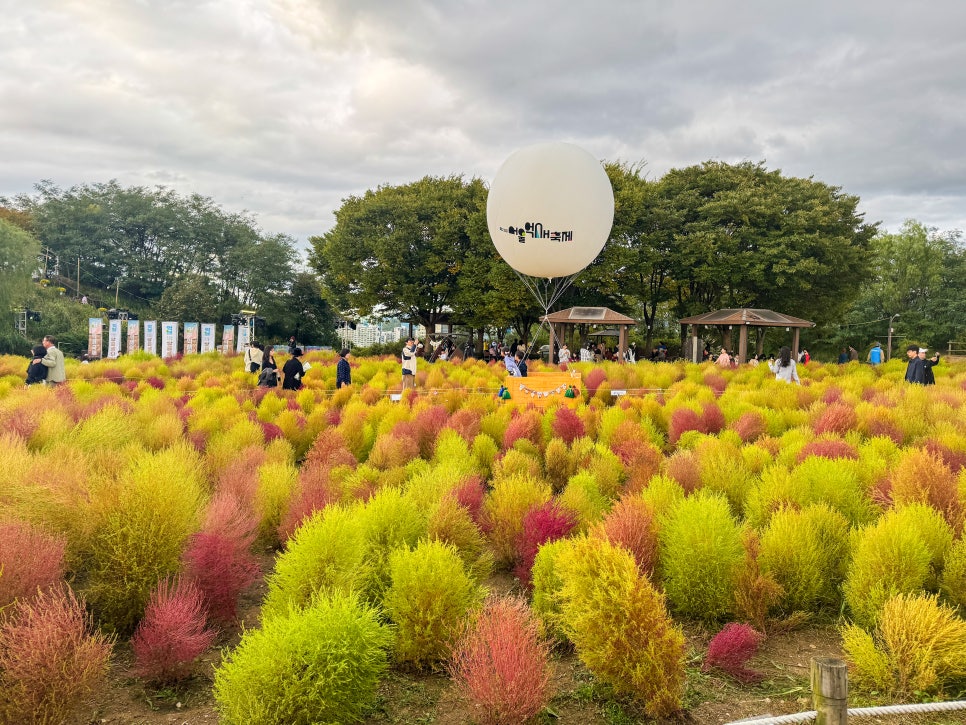 한강 밤하늘에 펼쳐지는 2025 한강 불빛 공연 개최 - Lyntour 포스트